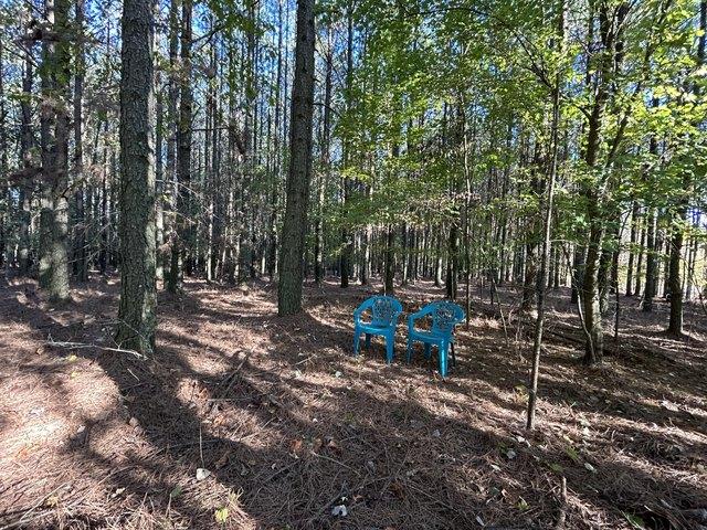 2035 Crockett Pointe Lot JF609, Jasper, TN 37347