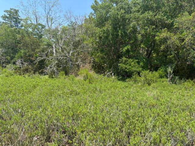 2035 Sol Legare Road