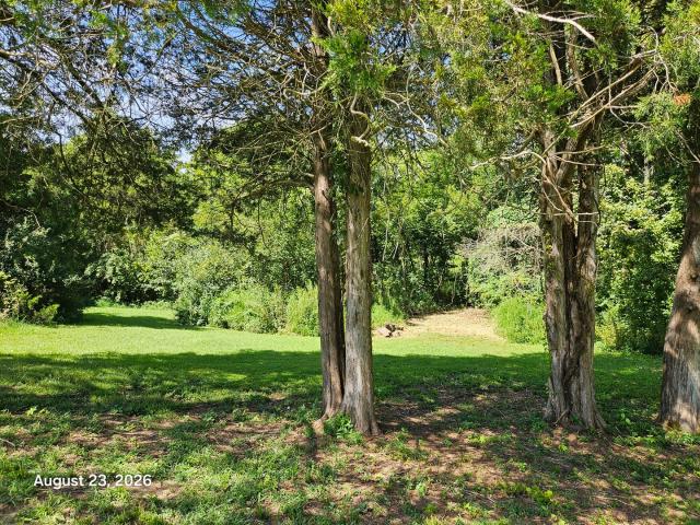 2035 Tamaroa Lane