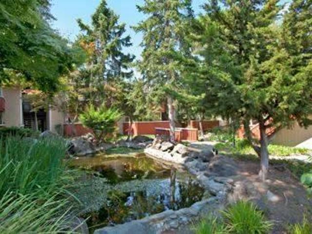 $2035 / 1br 550ft² Cozy Jr One Bedroom Available May 31st
