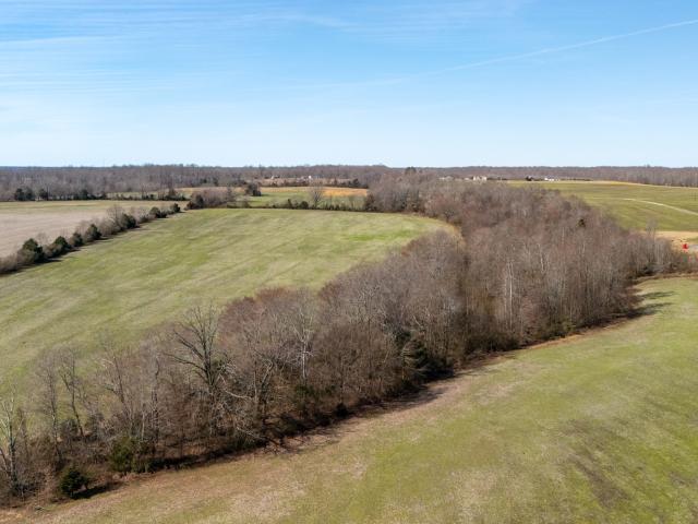 2036 Old McMinnville Hwy