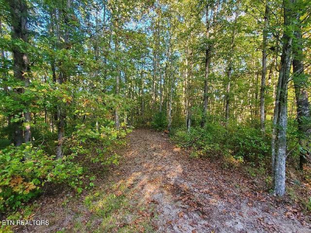 2036 Helenwood Detour Rd