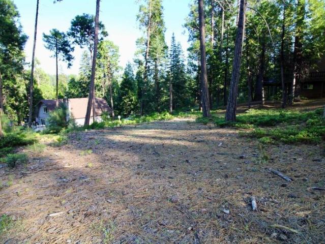 2036 Rainy Drive, Arnold, CA 95223 642576401
