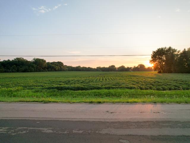 2038 S. Euclid Avenue