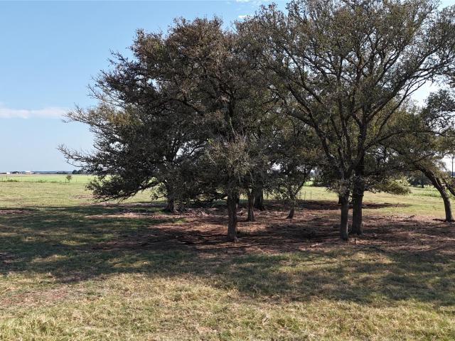 2039 County Road 326