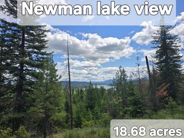 20300 E Mountain View Rd, Newman Lake, WA 99025