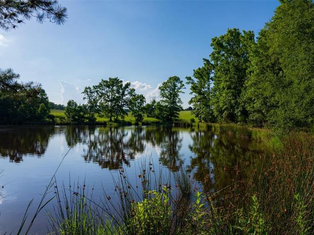 2030 County Road 1640