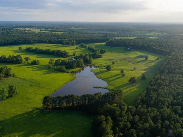 2030 County Road 1640, Grapeland, TX 75844