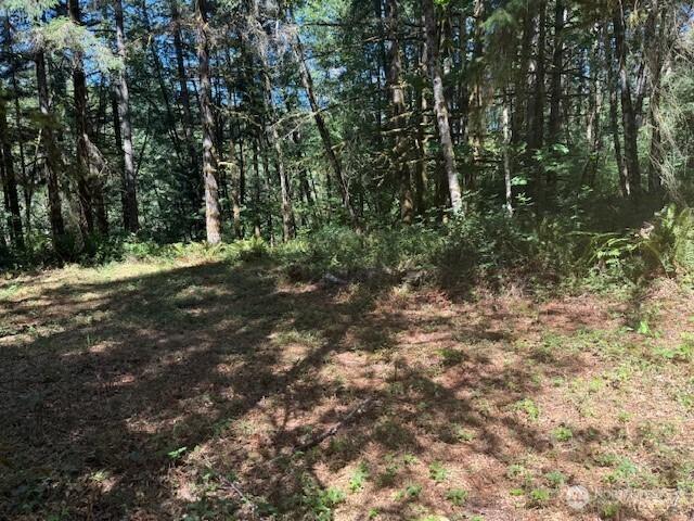 20325 Bucoda Hwy SE, Centralia, WA 98531 | MLS #2426
