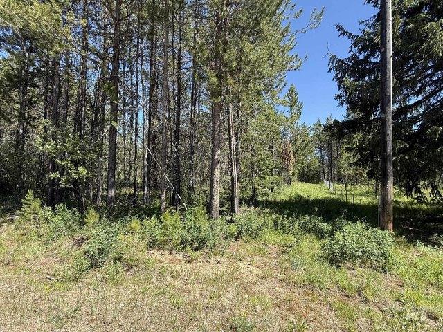 203 Angus Ln, Donnelly, ID 83615