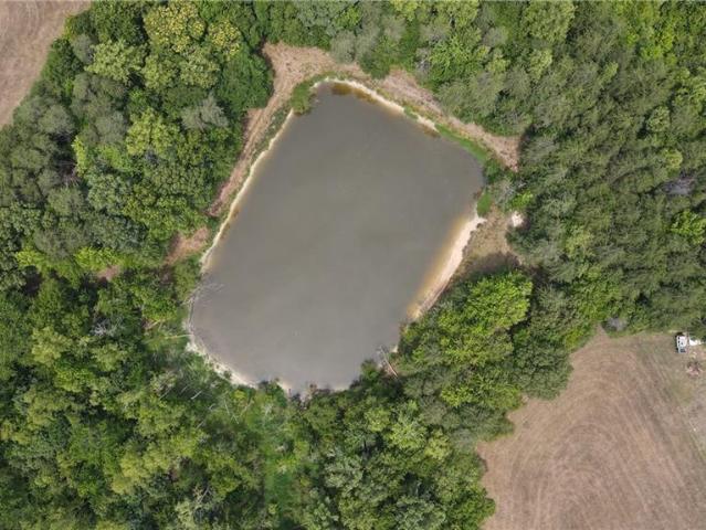 203 Bobcat Road