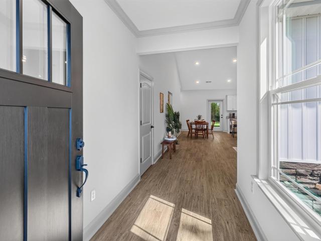 203 Blue Ridge Highway