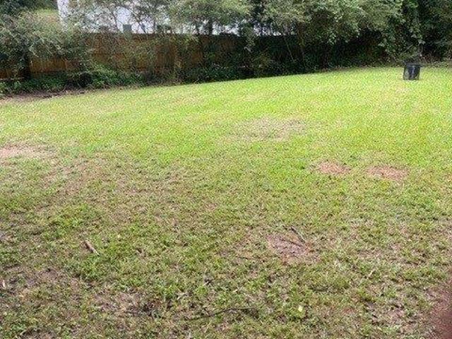 203 Briarwood Drive