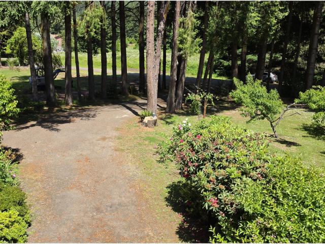 203 burchard dr