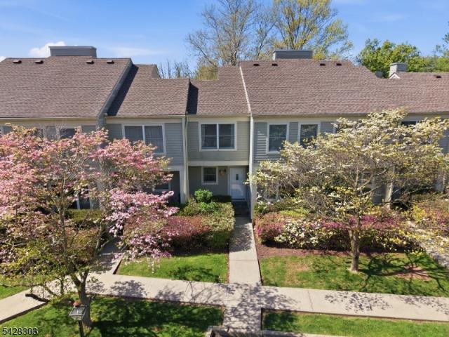 203 Knoll Way