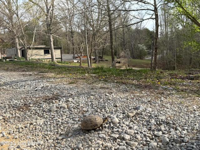 203 Kaufman Rd