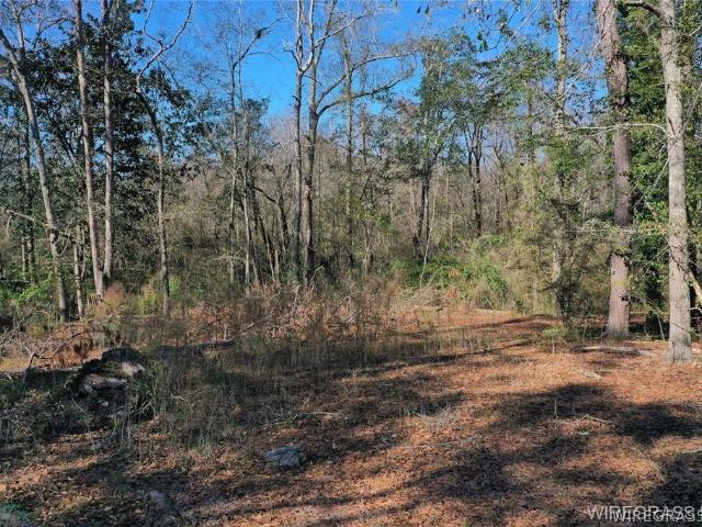 203 harrand creek drive
