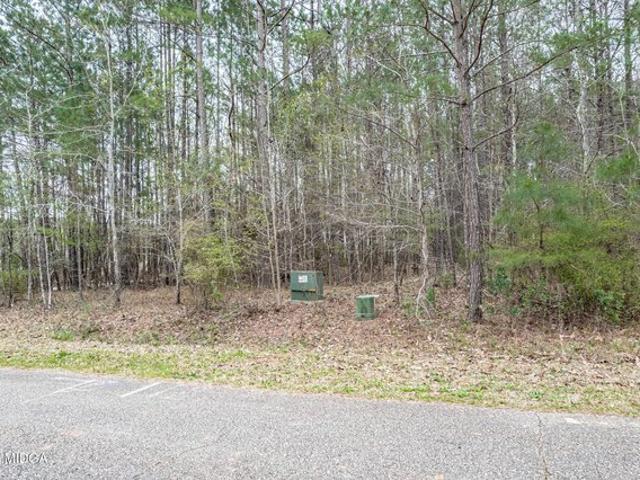203 Hidden Lakes Dr Lot 49, Gray, GA 31032