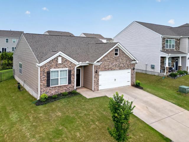 203 Light Spring Road