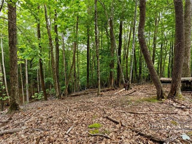 203 Sourwood Ln, Sugar Mountain, NC 28604