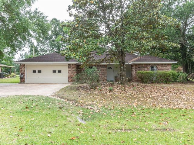 203 Sassafras