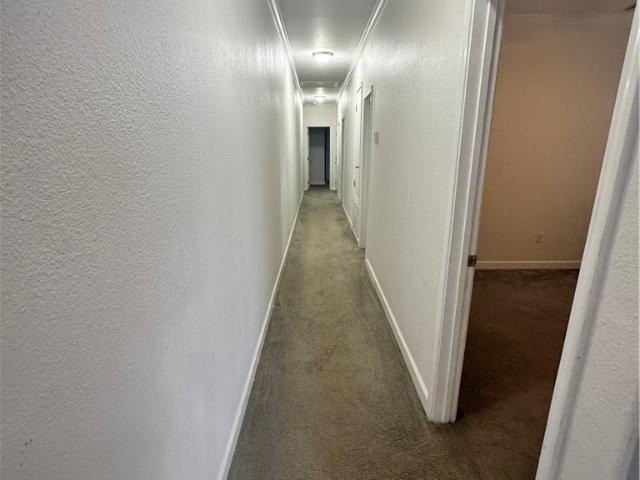 203 Palmwood Drive B