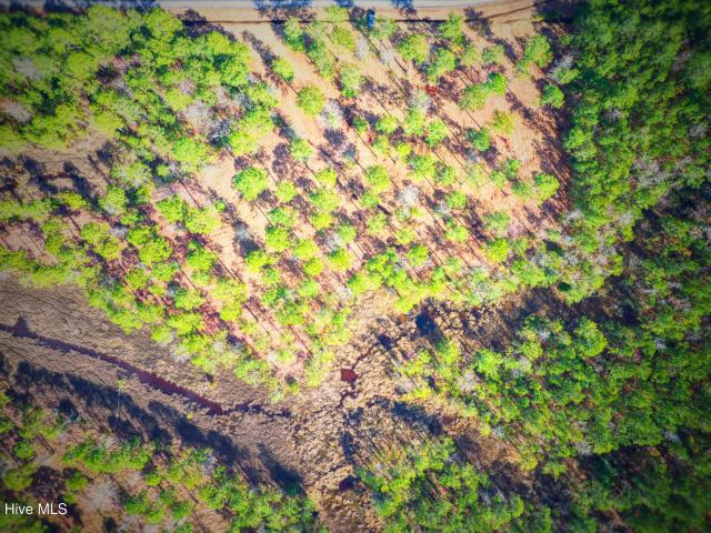 203 Paradox Point Drive
