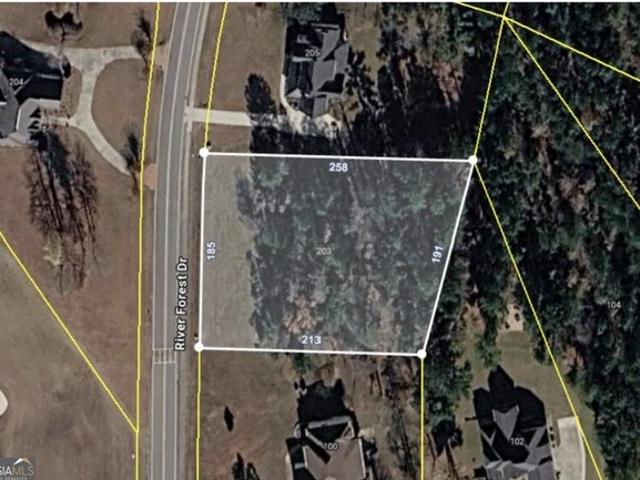203 River Forest Dr, Forsyth, GA 31029