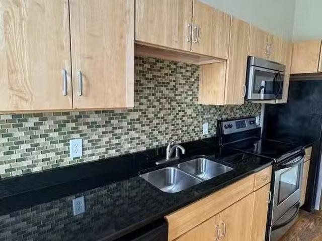 203 Washington Lofts