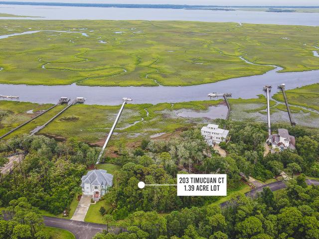 203 Timucuan Court