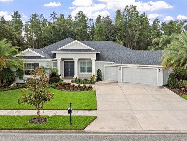 20454 Lace Cascade Rd, Land O Lakes, FL 34637