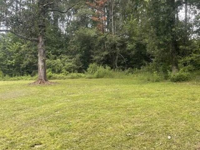 2045 FM 1131, Evadale, TX 77615
