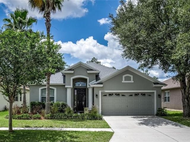 20400 Falling Rock Dr, Land O Lakes, FL 34638