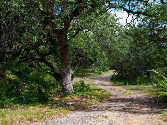 2041 Lone Man Mountain Rd
