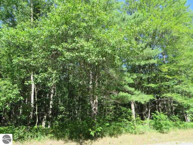2043 E Log Lake Road