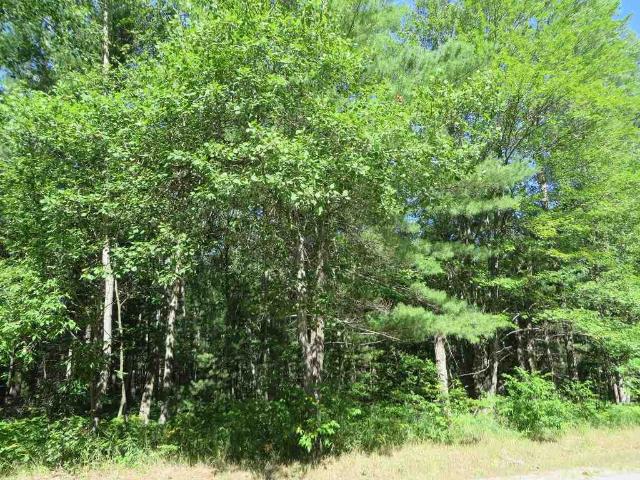 2043 E Log Lake Road # Lot 31