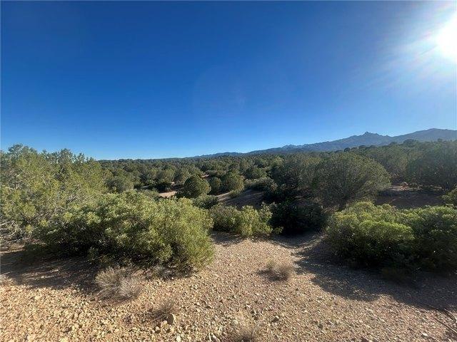 204 # 17 040, Kingman, AZ 86401