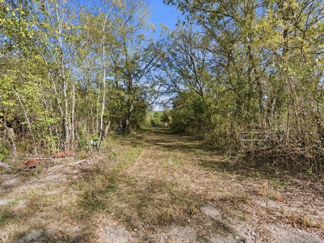 204 County Road 204, Plantersville, TX 77363 | MLS #63554
