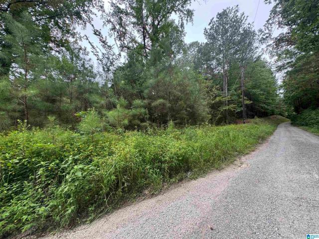 204 County Road # 3055