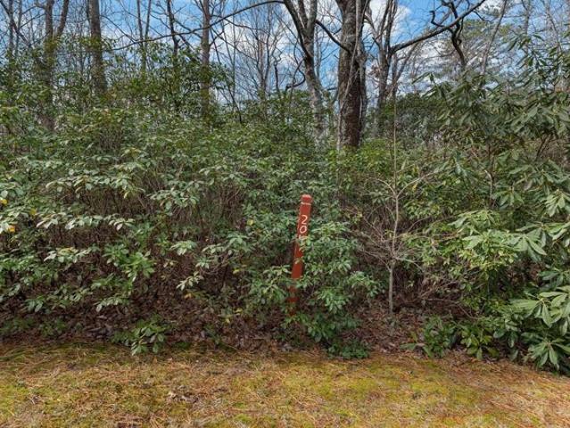 204 Conifer Falls Rd, Cleveland, SC 29635