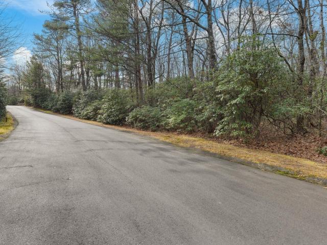 204 Conifer Falls Road