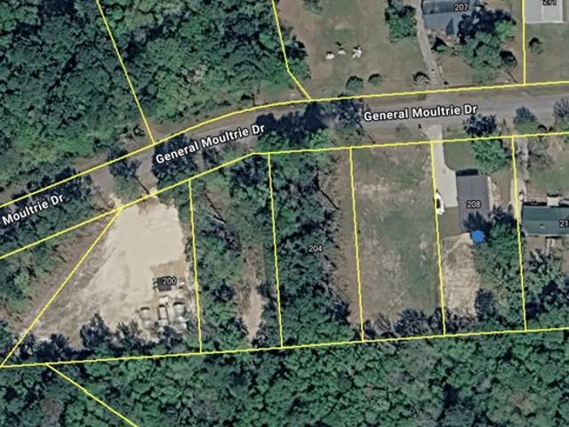 204 General Moultrie Dr, Bonneau, SC 29431