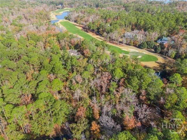 204 Dogwood Way, Richmond Hill, GA 31324