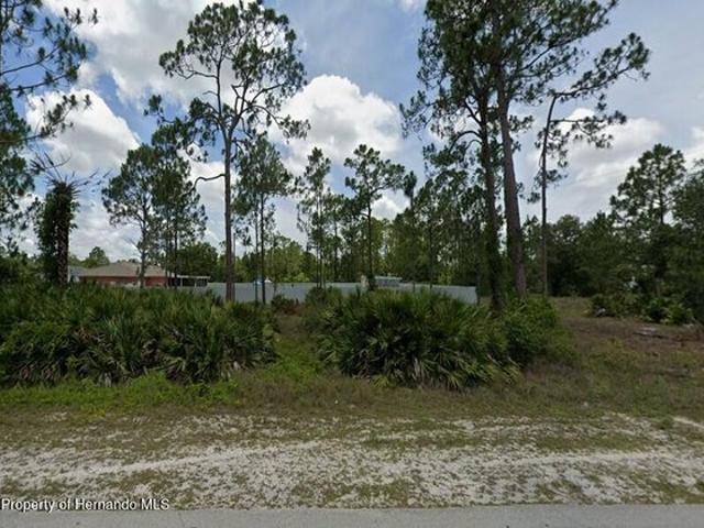 204 E 17th St, Lehigh Acres, FL 33972