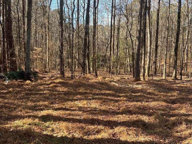 204 Fairhaven St, Apex, NC 27539 | MLS #10143 | Compass