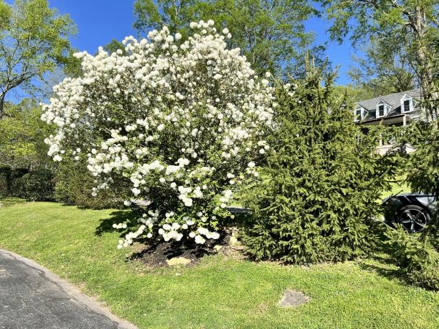 204 Hogan Ln, Columbia, TN 38401 | MLS #3164