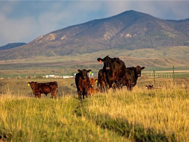 204 Husted Rd, Lewistown, MT 59457