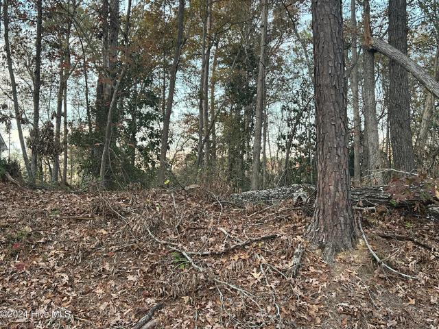 204 Lakeview Dr, Whispering Pines, NC 28327 | MLS #100552 | Compass