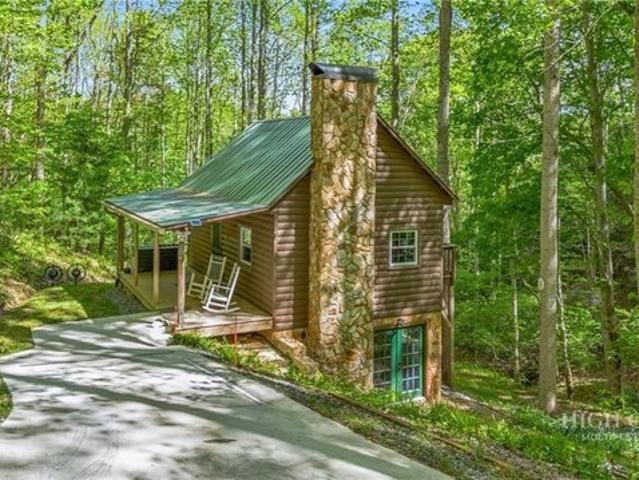 204 Mountain Side Ln, Crumpler, NC 28617