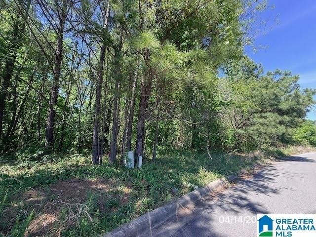 204 Melbourn Cir Lot 326, Birmingham, AL 35022